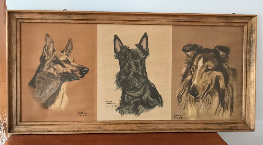 Gladys Emerson Cook Framed Dog Prints, Vintage 1950s, German Shepherd ...