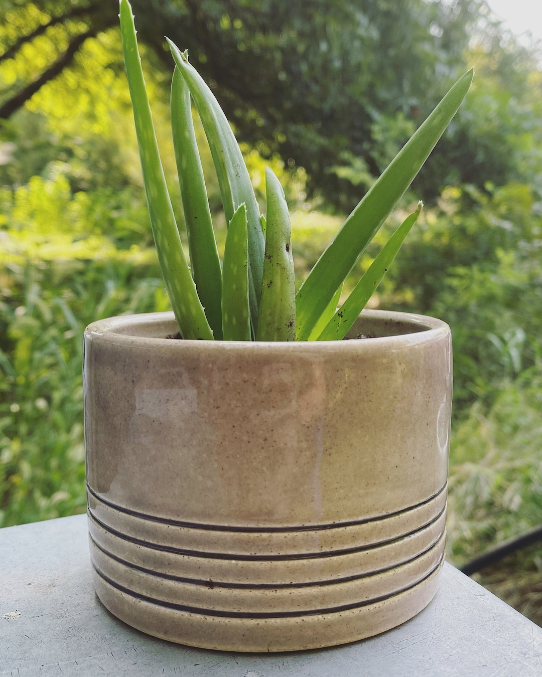 Succulent Planter | Pink Planter | Small Outdoor Planter | Pots for ...