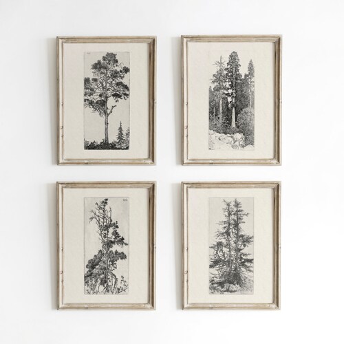 Tree Drawing Set Vintage Sketch ART PRINTS Pencil Sketch - Etsy
