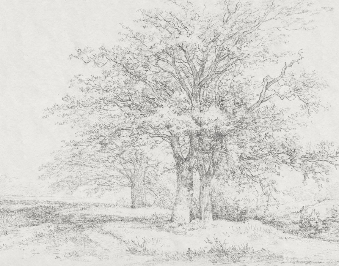 Vintage Drawing Tree Sketch Landscape Wall Art Landscape | Etsy