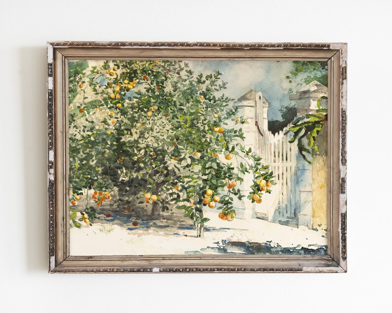 Vintage Orange Botanical Art Prints: Summer Still Life Painting ...