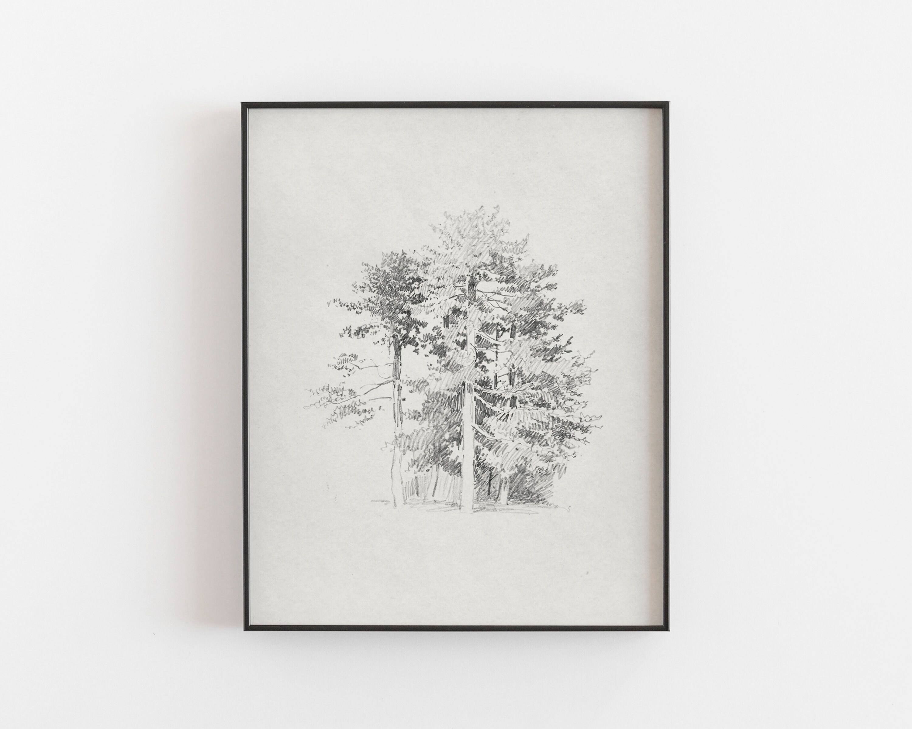 Botanical print sketch art vintage tree drawing tree | Etsy