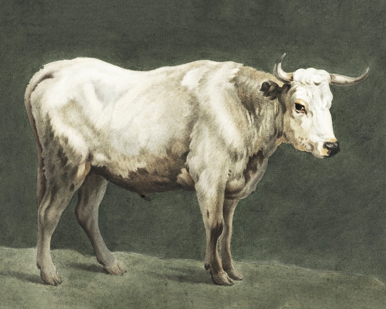 Vintage Cow Print Farm Wall Art Vintage Cow Painting - Etsy