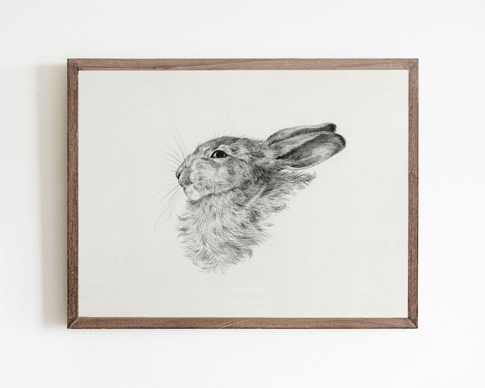Vintage Rabbit Art Rabbit Drawing Easter Wall Art Print | Etsy