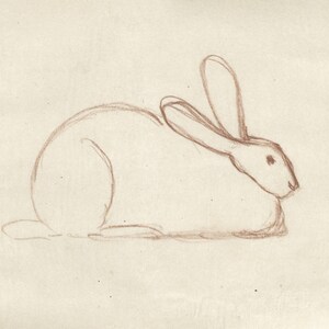 Vintage Rabbit Drawing, Abstract Sketch Art, Abstract One Line Drawing ...
