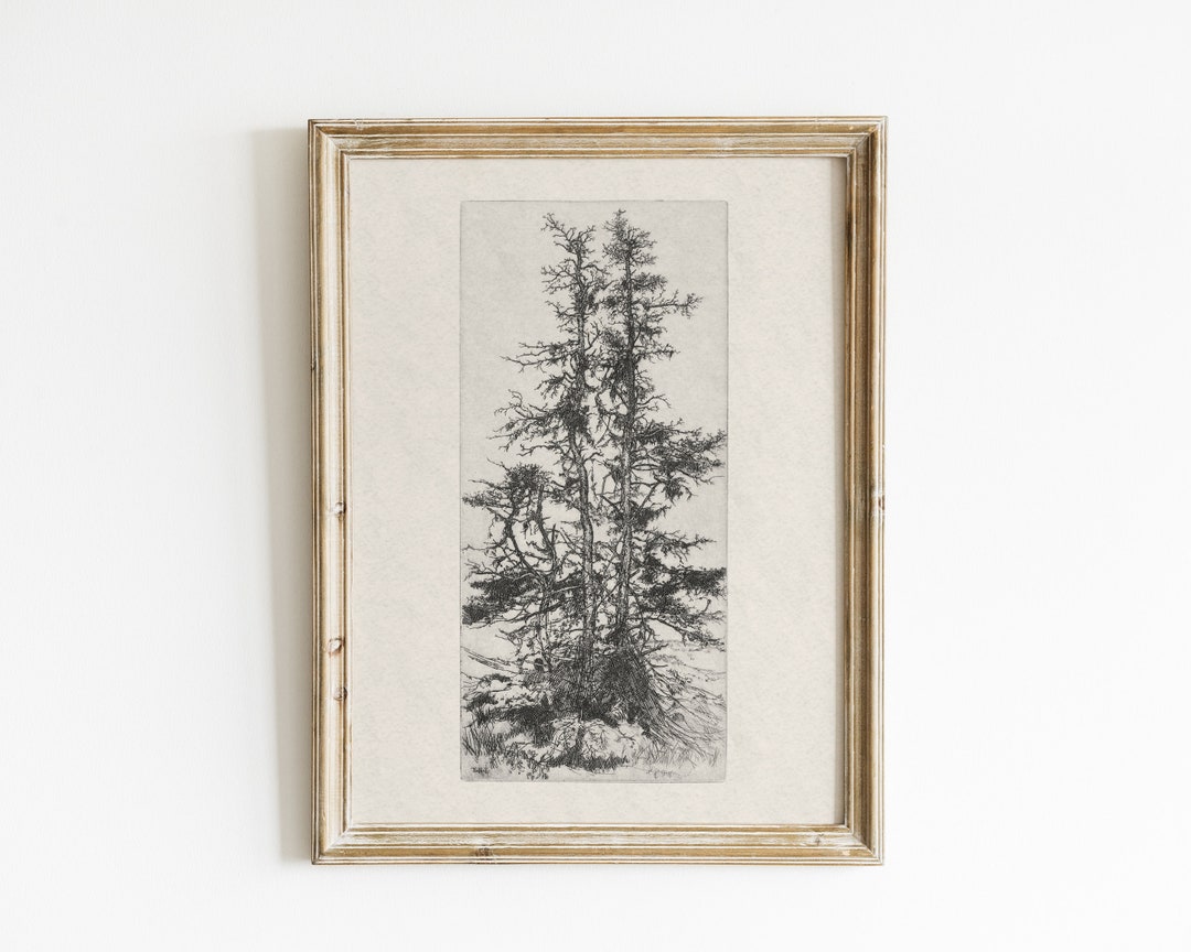 Vintage Tree Art, Tree Prints, Vintage Nature Prints, Antique Botanical ...