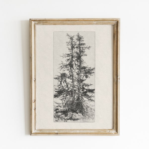 Pine Tree Art - Etsy
