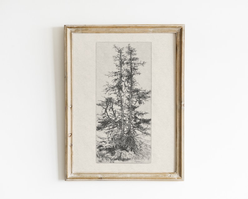Vintage Tree Art Tree Prints Vintage Nature Prints Antique - Etsy