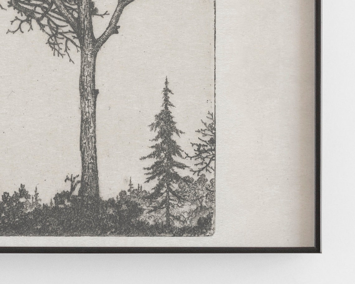 Botanical sketch vintage drawing tree sketch antique | Etsy