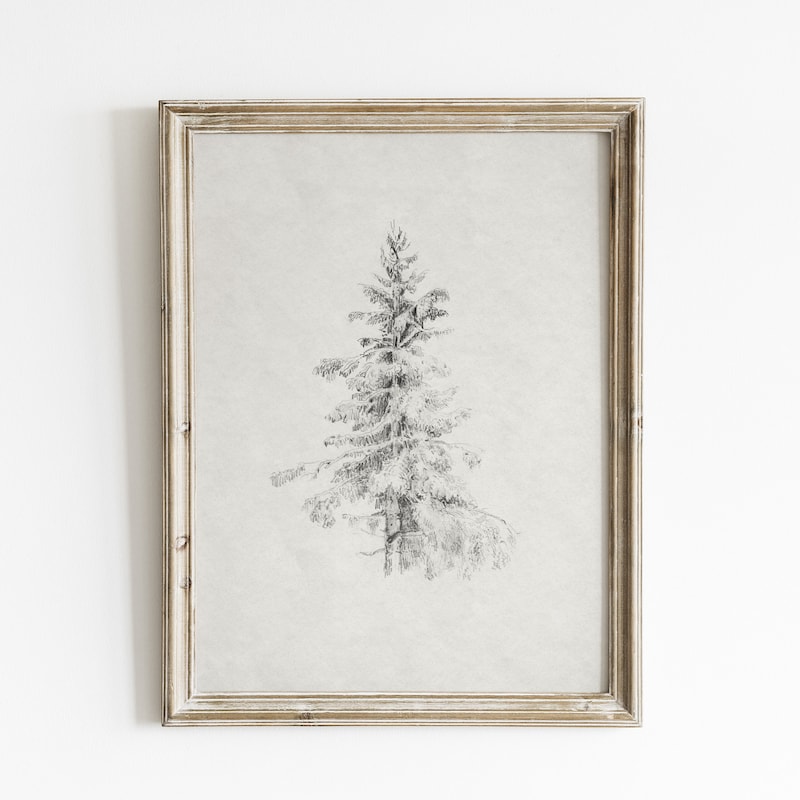 Evergreen Tree - Etsy