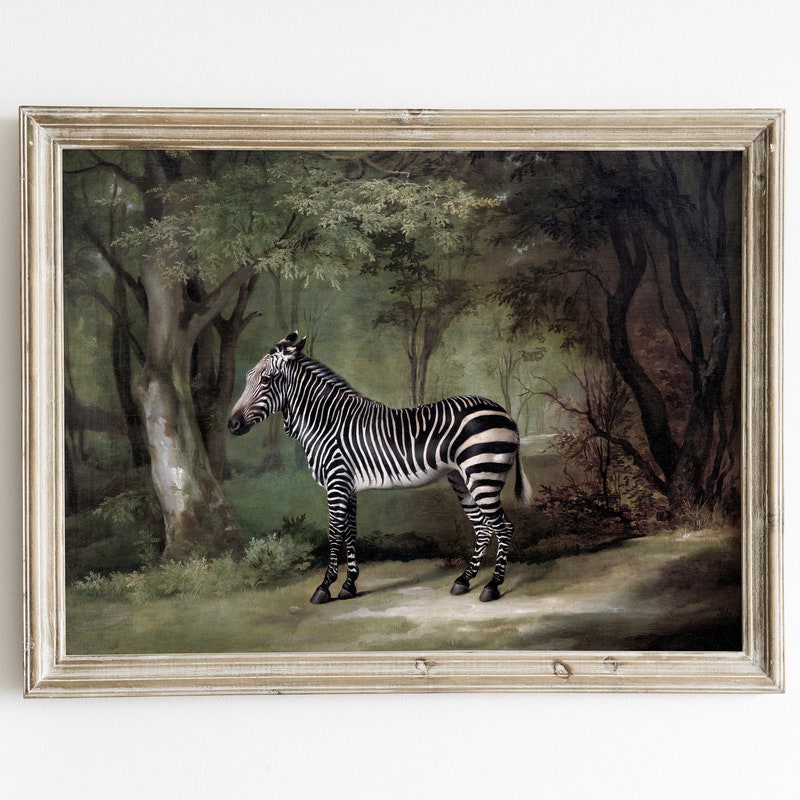 Zebra Print - Etsy