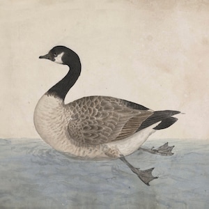 Vintage Goose Print, Antique Goose Painting, Printable Farmhouse Wall ...