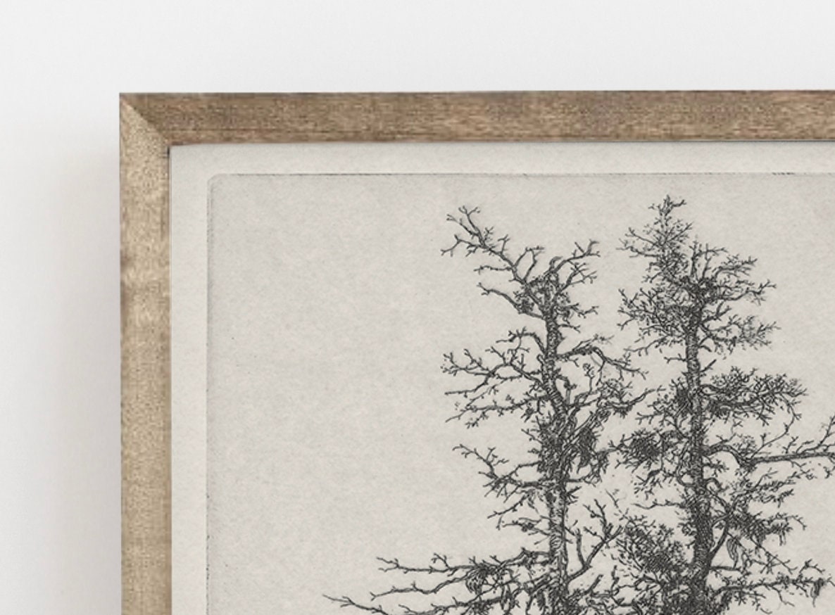 Botanical Wall Art Vintage Tree Drawing Tree Illustration | Etsy