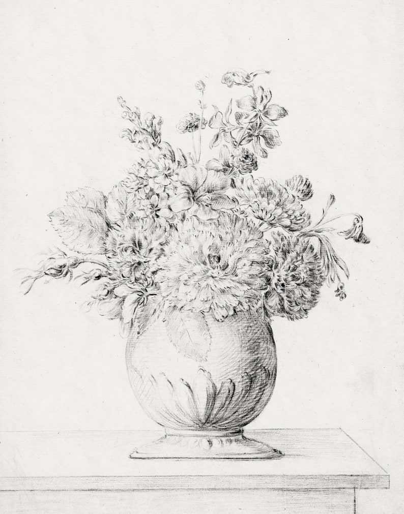 Vintage Flower Still Life Art Print: Antique Botanical Sketch (digital ...