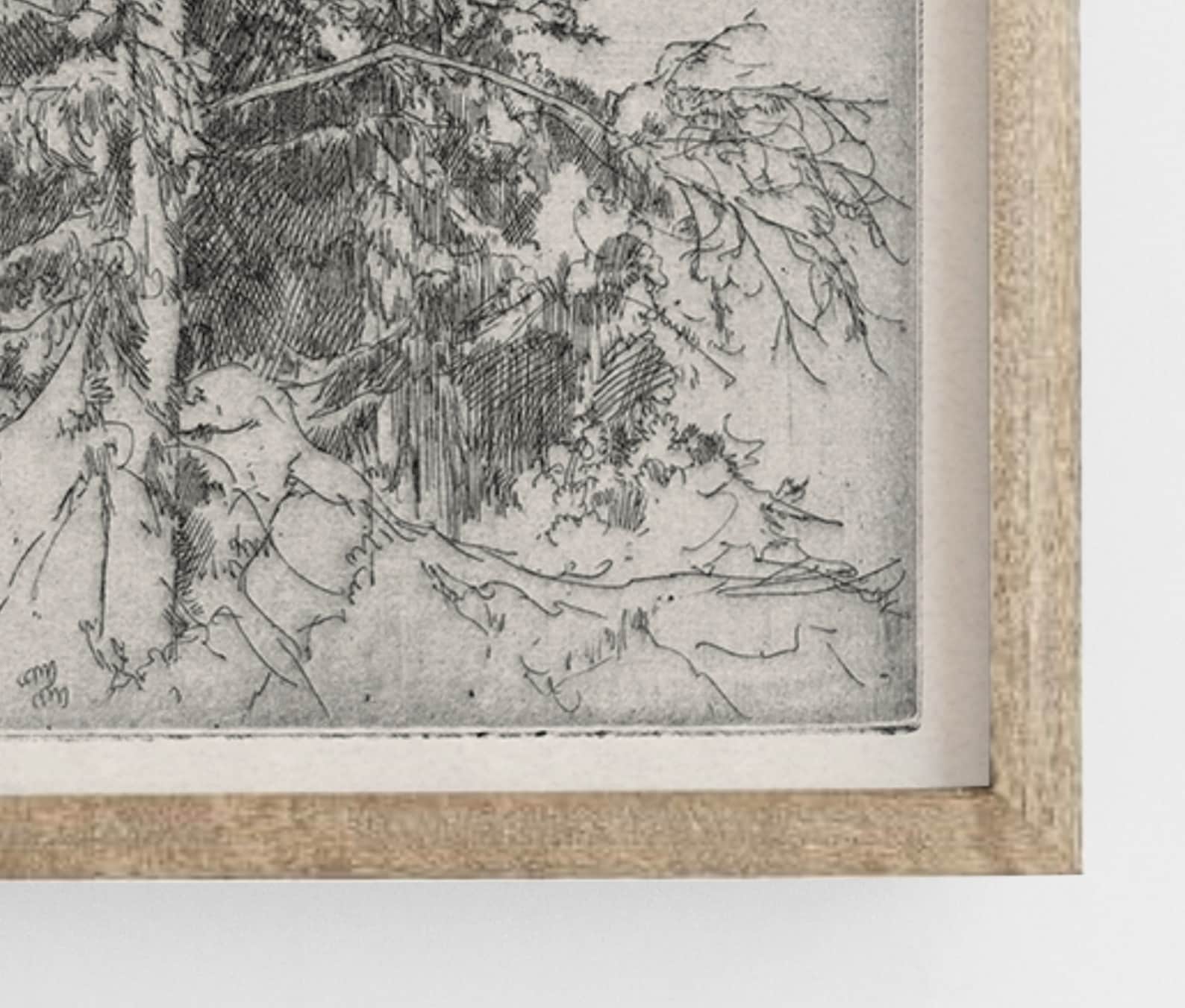 Vintage Tree Sketch Drawing Nature Art Pine Tree Ink Print - Etsy