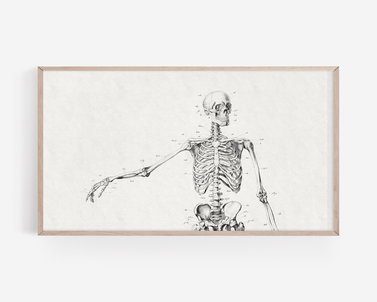 Frame TV Halloween Art Skeleton Wall Art for Samsung Frame TV | Etsy