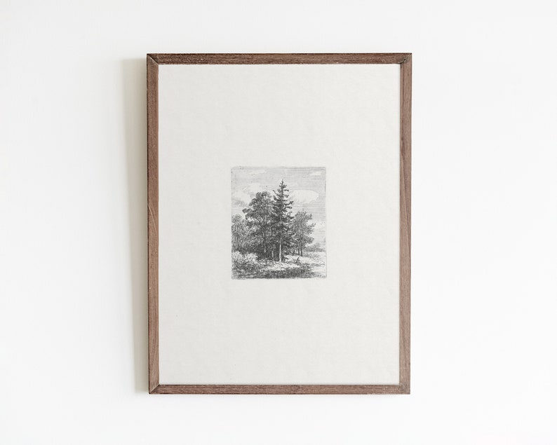 Vintage Sketch Print Antique Nature Tree Etching Modern - Etsy