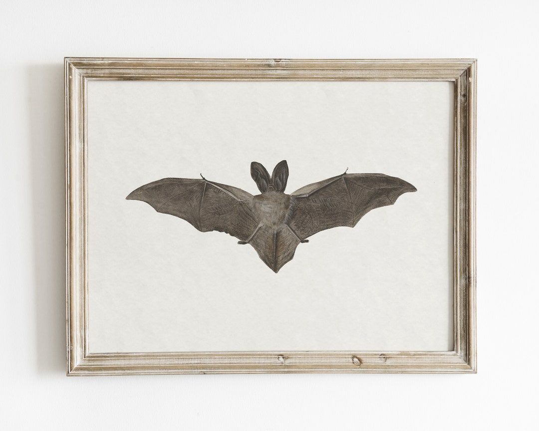 Bat Painting, Vintage Halloween Art Print, Bat Wall Decor, Spooky Decor ...