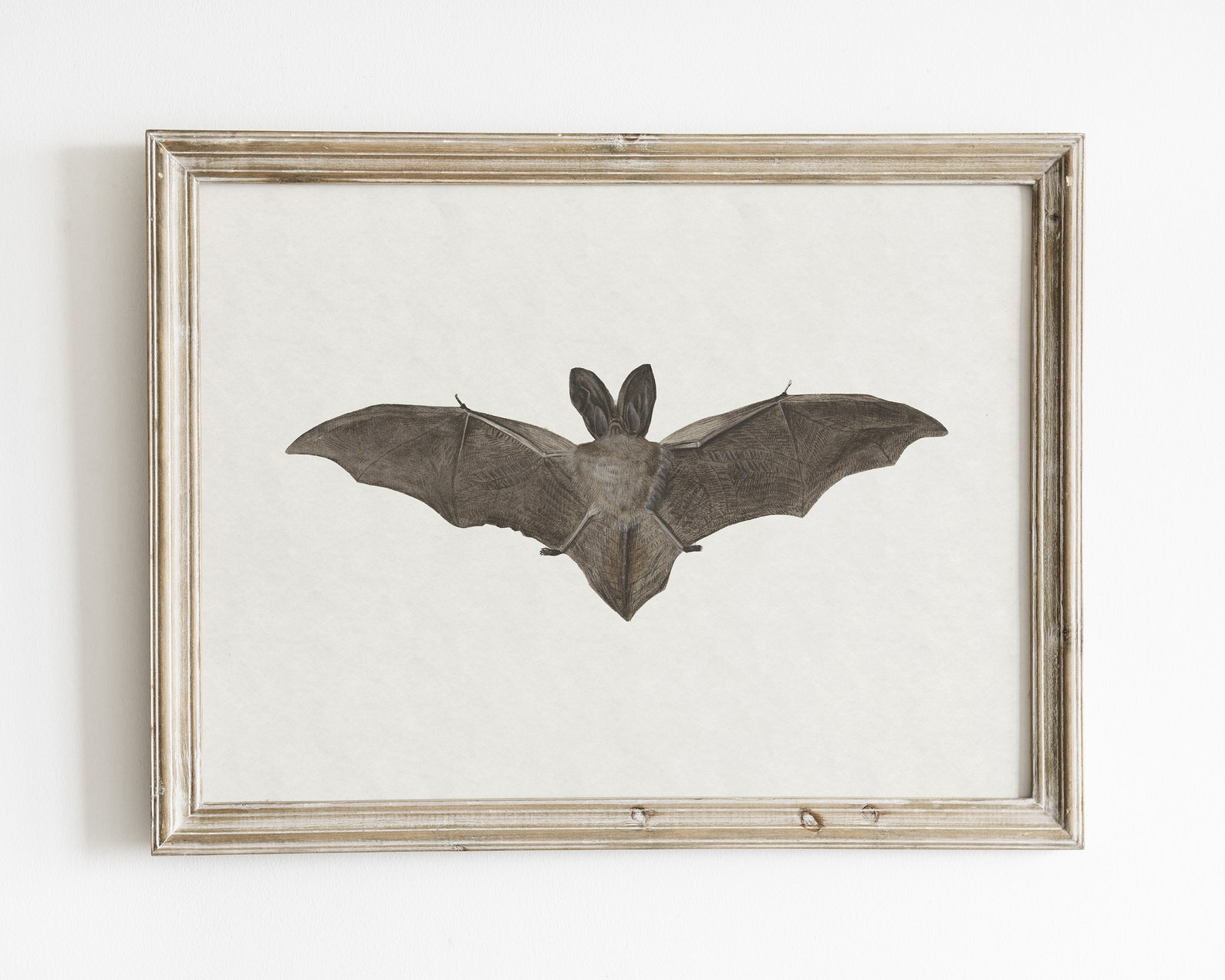Bat Painting Vintage Halloween Art Print Bat Wall Decor - Etsy