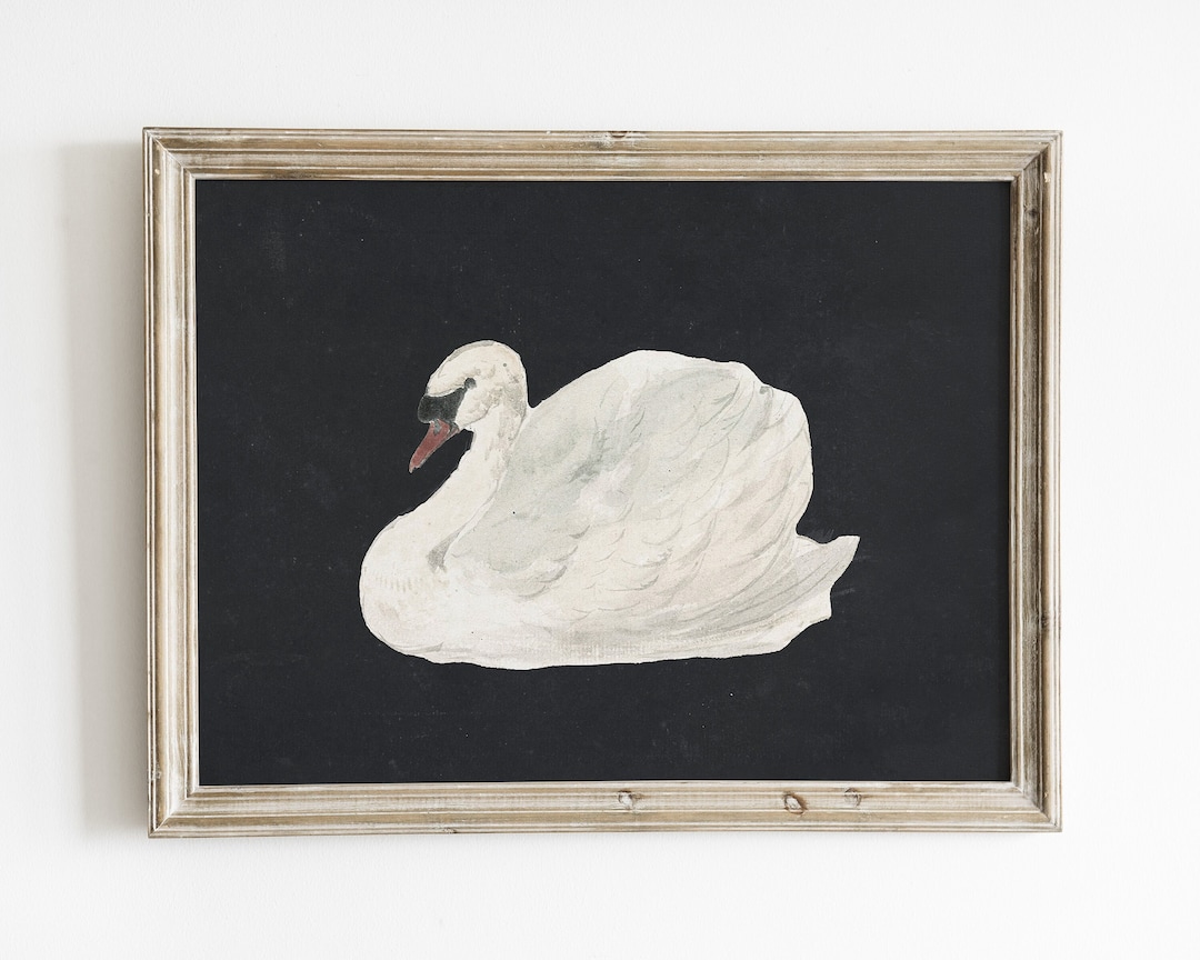 Vintage Swan Print | Antique Swan Painting | Vintage Nursery Wall Decor ...