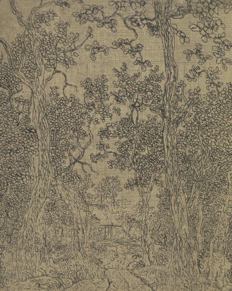 Antique Sketch Art Vintage Ink Drawing Warm Tone Wall Decor - Etsy