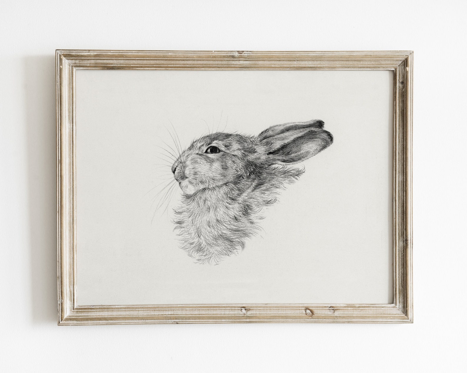 Vintage Rabbit Art Rabbit Drawing Easter Wall Art Print - Etsy