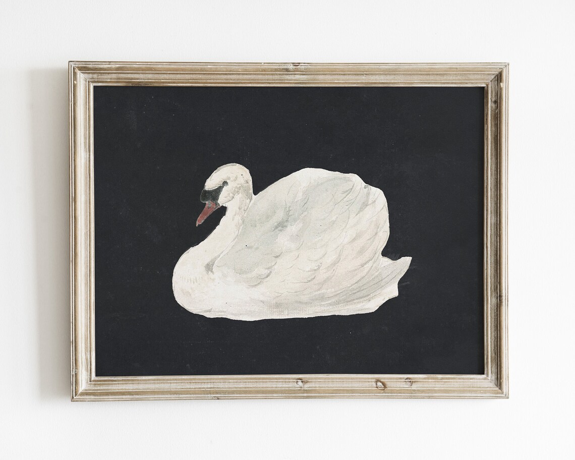 Vintage Swan Print Antique Swan Painting Vintage Nursery - Etsy