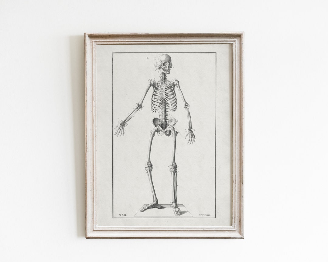 Vintage Skeleton Drawing | Spooky Halloween Art | Digital Download ...