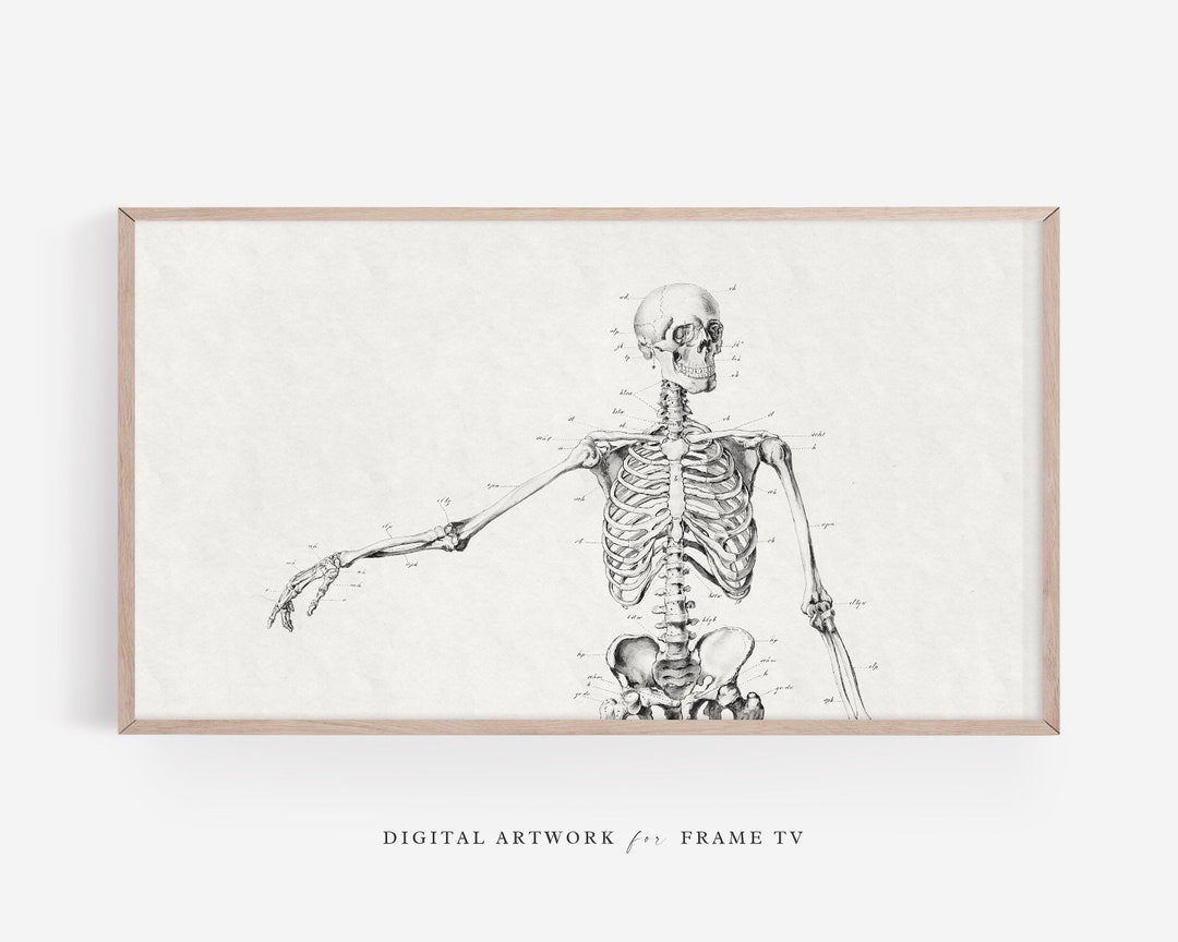 Frame TV Halloween Art, Skeleton Wall Art for Samsung Frame TV Decor ...