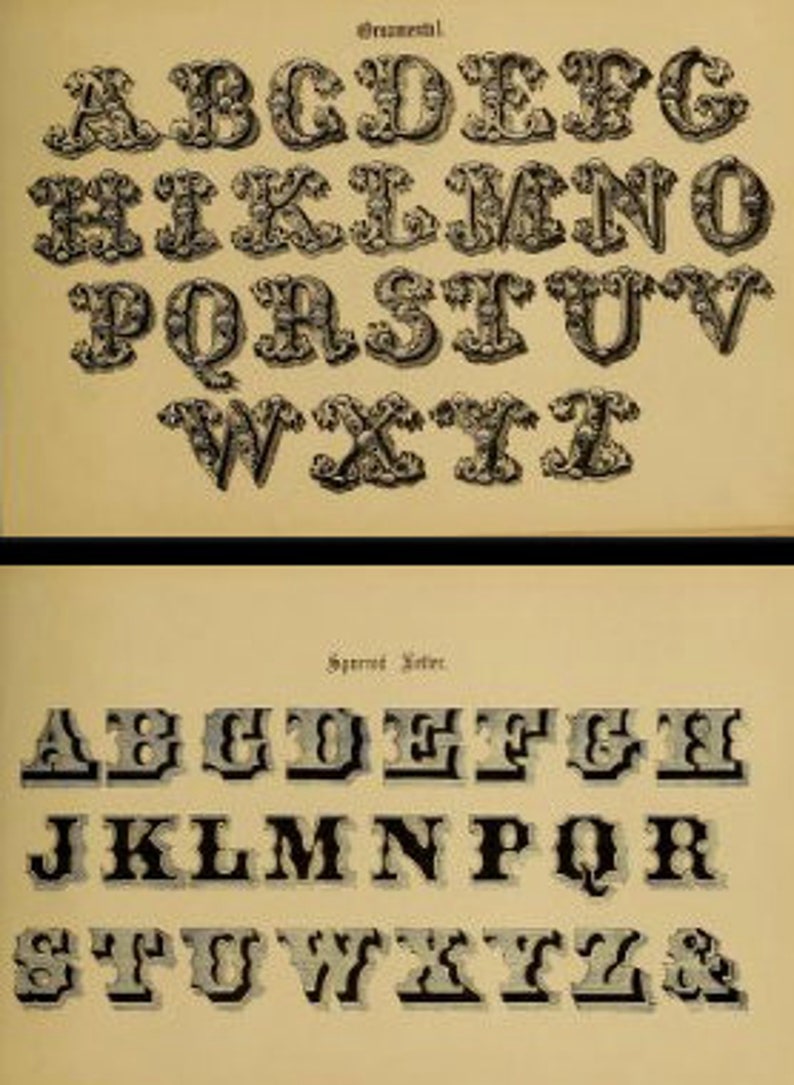 100 ORNAMENTAL ALPHABETS 8TH to 20TH Centuries for Hand - Etsy