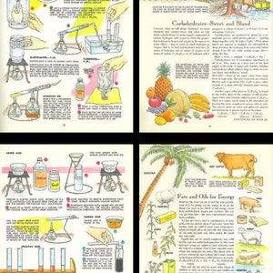 The Golden Book of Chemistry Experiments: Home Lab Guide (printable PDF ...