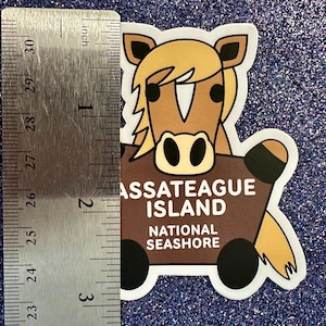 Assateague Island National Seashore Weatherproof Vinyl Sticker - Etsy
