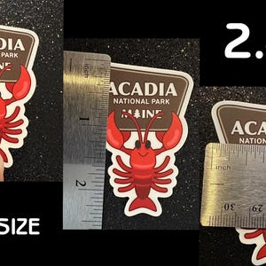 Acadia National Park Weatherproof Vinyl Sticker- Maine Lobster- Now in ...