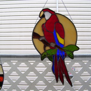Stained Glass Scarlet Macaw Parrot Sun Catcher - Etsy