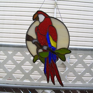 Stained Glass Scarlet Macaw Parrot Sun catcher | Etsy