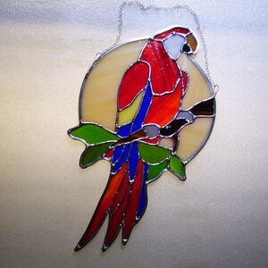 Stained Glass Scarlet Macaw Parrot Sun Catcher - Etsy