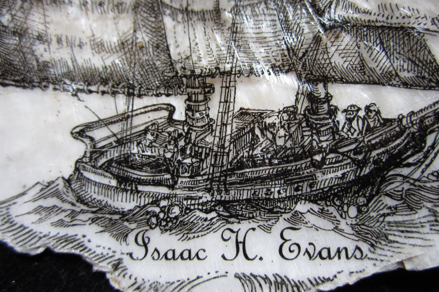 SCHOONER ISAAC EVANS on Maine Scallop Shell - Etsy