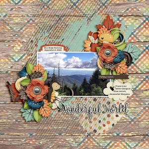 Forest Fall Autumn 12x12 Digital Scrapbook Kit - Etsy