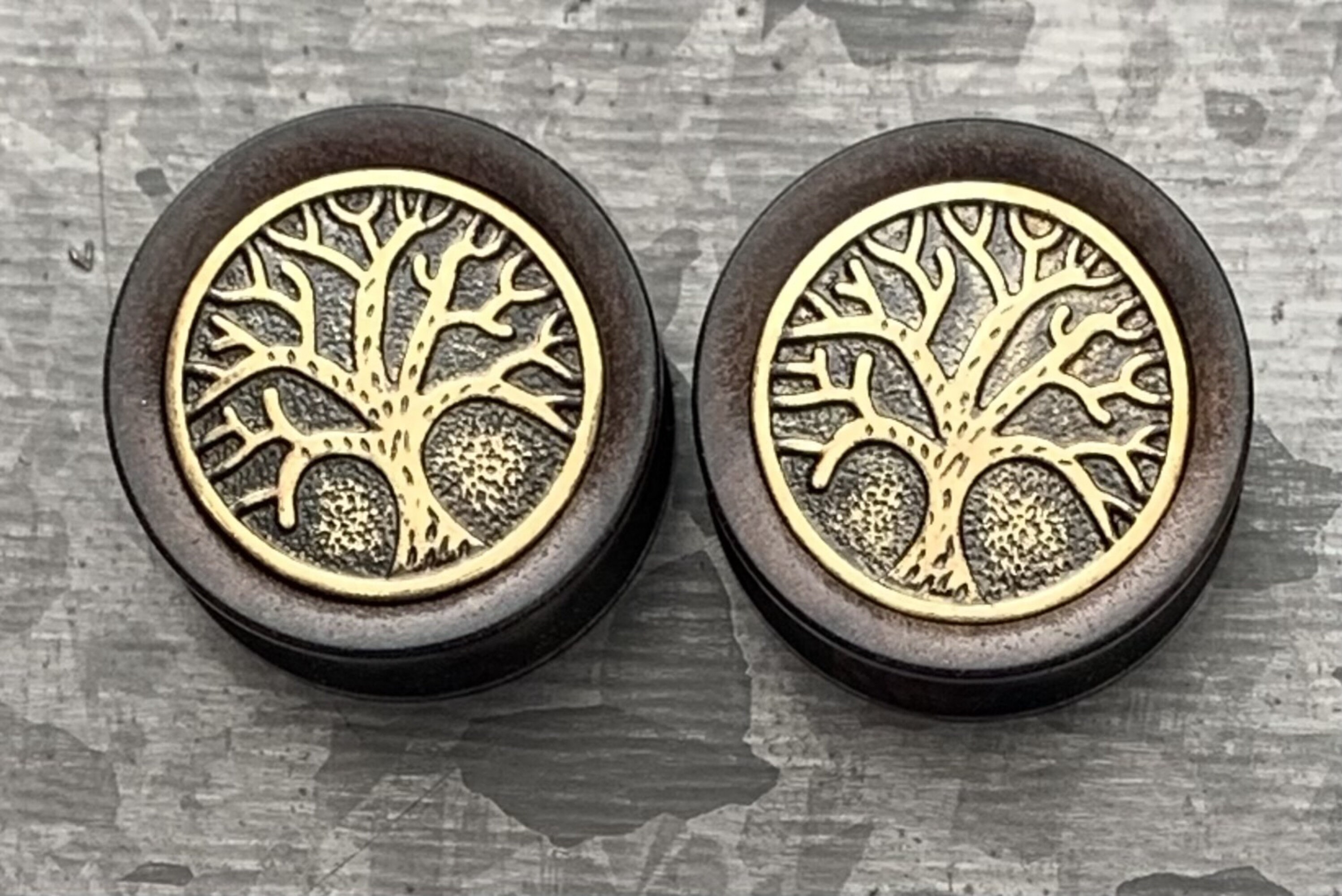 PAIR of Beautiful Organic Ebony Wood Plugs With Tree of Life | Etsy