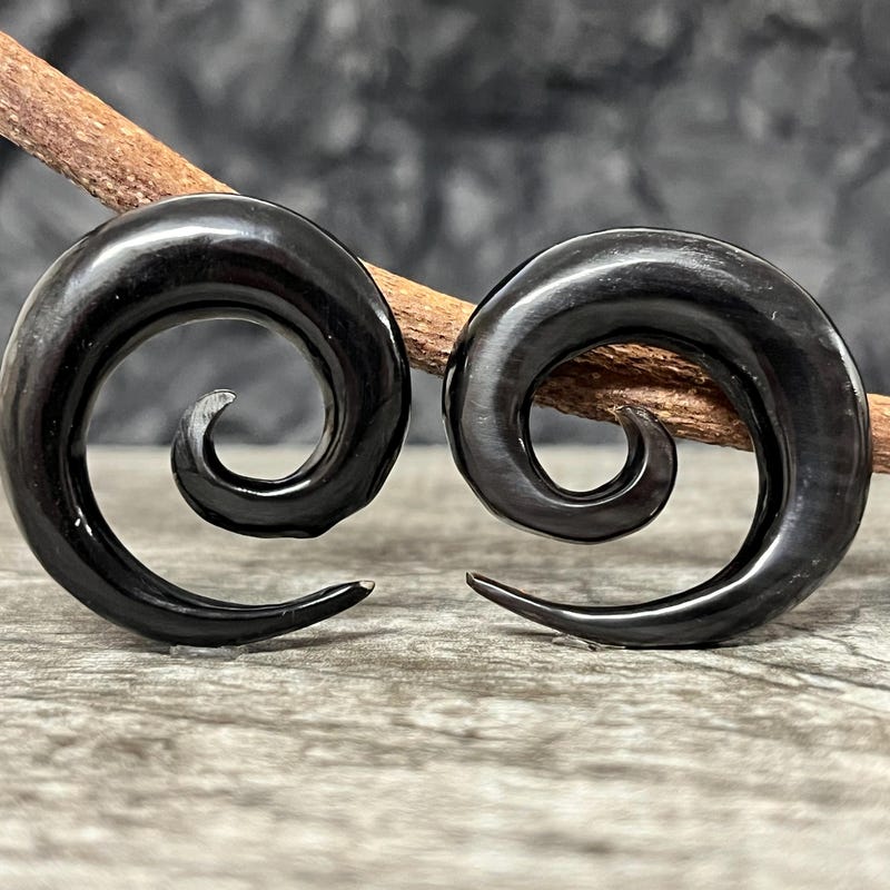 Spiral Horn - Etsy