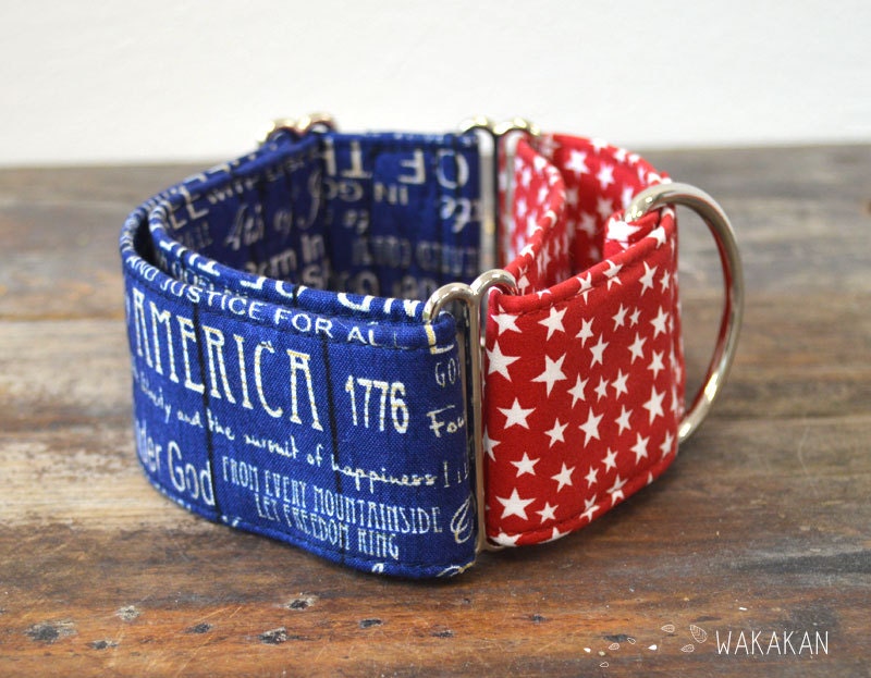 Martingale dog collar model Blue Freedom. Adjustable and handmade with ...