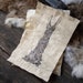 3 Mordor Inspired Pages - Scrolls From the Realm of Tolkien - Etsy