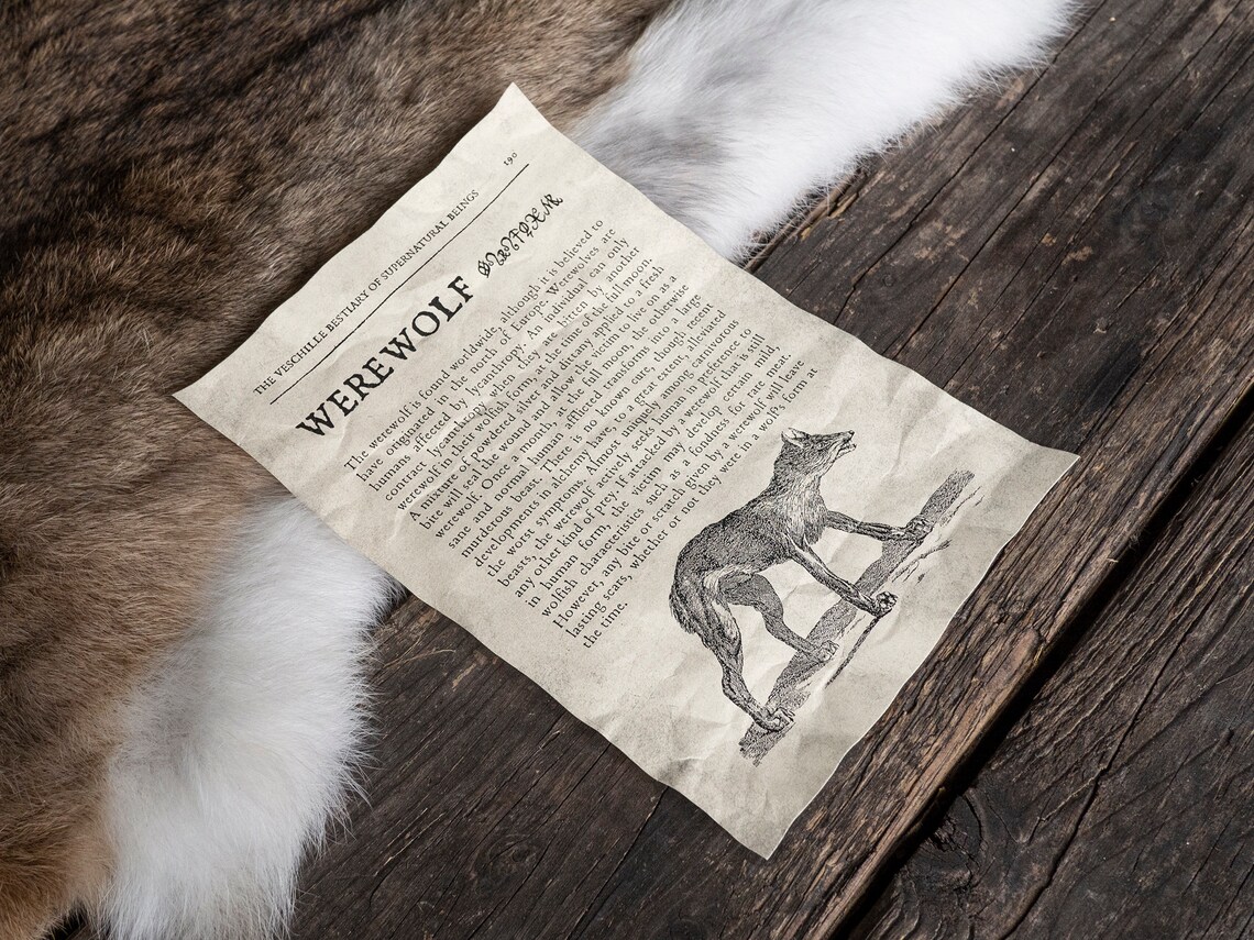 4 Magical Beasts Inspired Pages Centaur Werewolf Witch and - Etsy UK