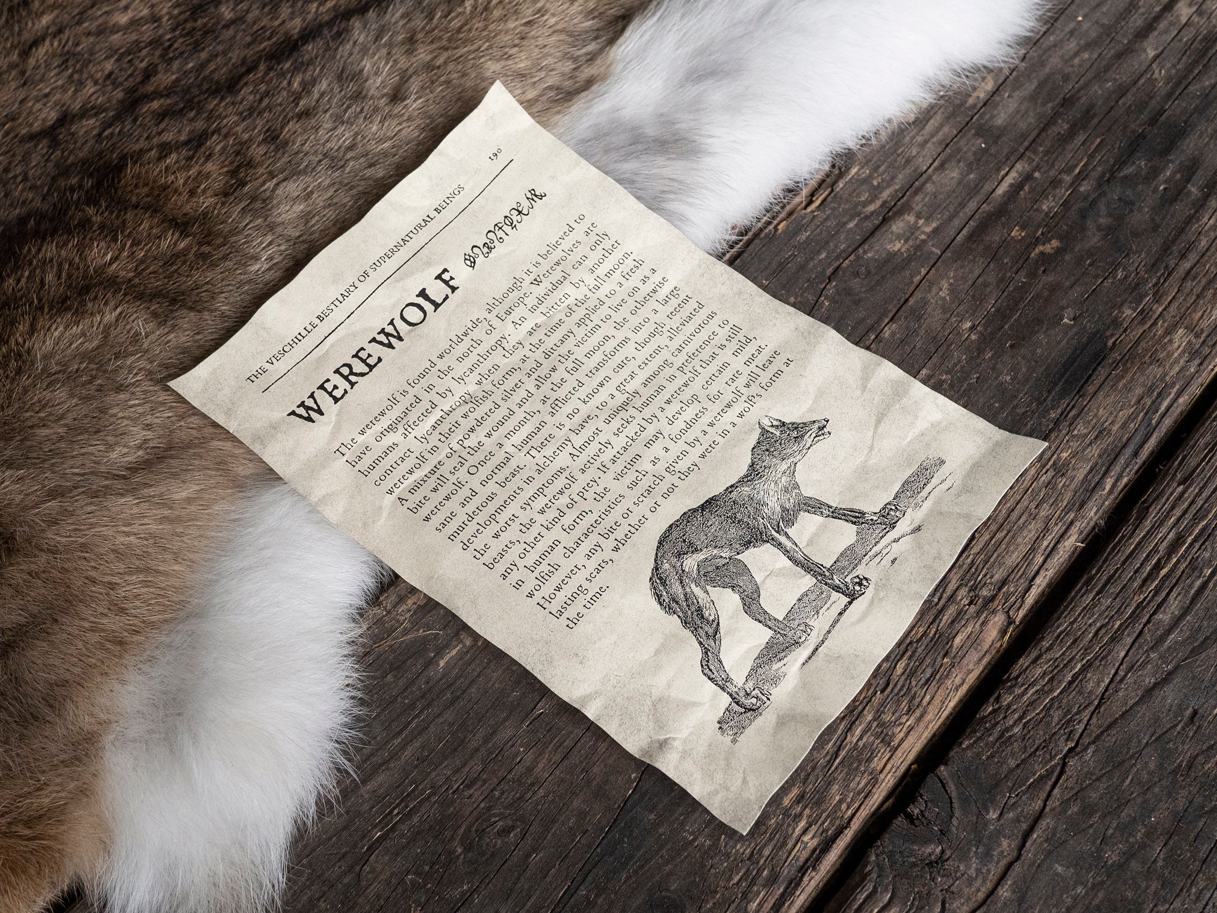 4 Magical Beasts Inspired Pages Centaur Werewolf Witch and - Etsy UK