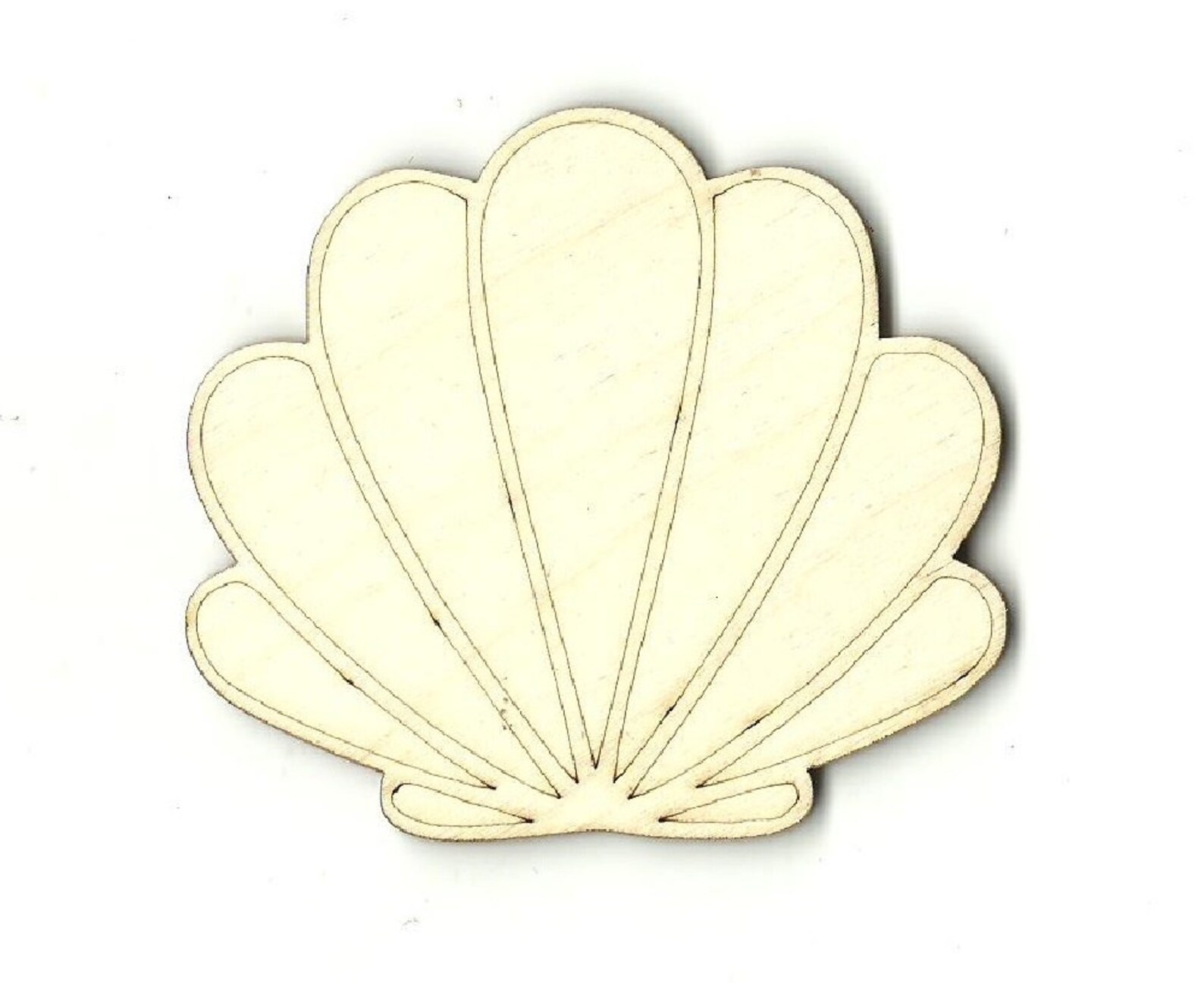 Seashell Laser Cut Out Unfinished Wood Shape Craft Supply | Etsy