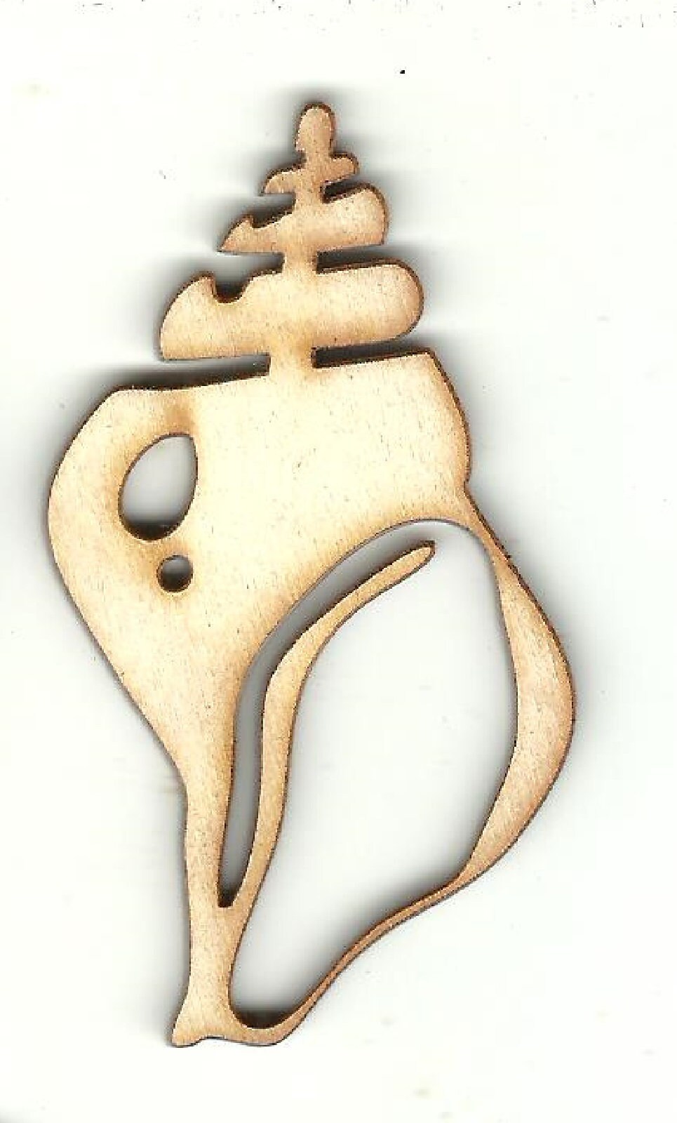 Shell Laser Cut Out Unfinished Wood Shape Craft Supply - Etsy