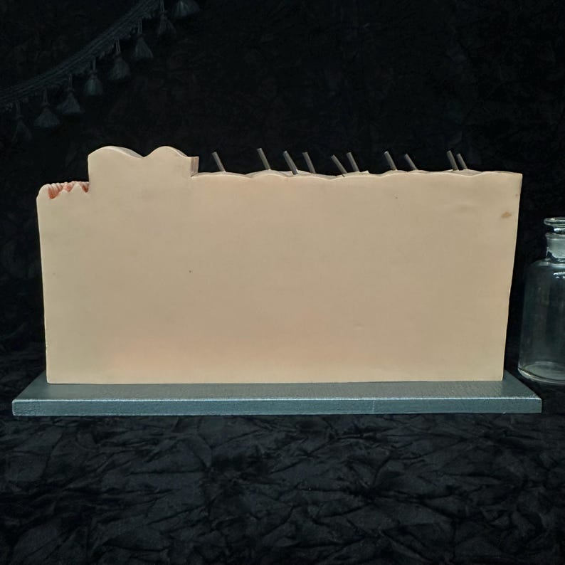 Vintage SOMSO Numbered and Labeled Skin Anatomical Model Trifecta - Etsy