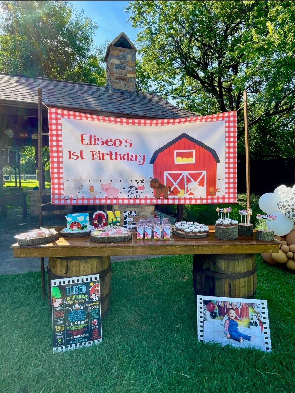 Farm Birthday Banner Barnyard Party Decor Farm Birthday | Etsy