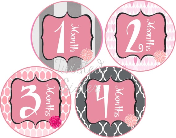 Items similar to Month by Month Baby Stickers, Month by Month Baby ...