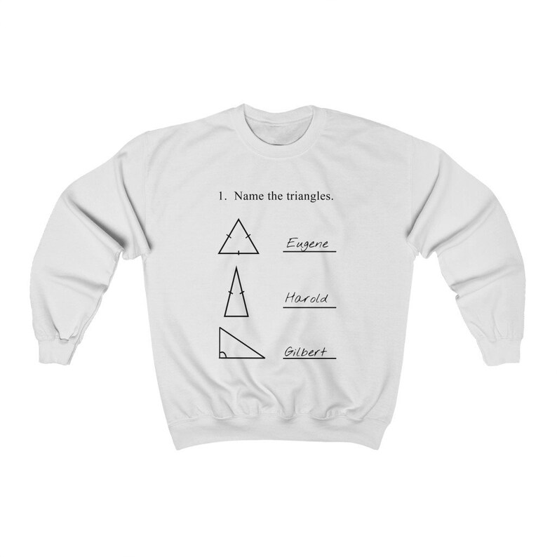 Funny Math Teacher Sweatshirt Name the Triangles Funny - Etsy